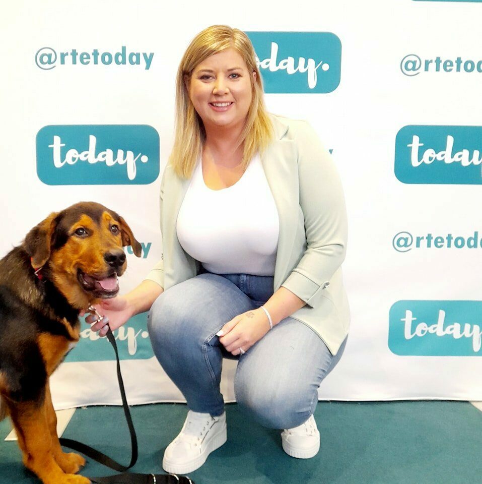 Let's Talk Training with Nanci Creedon – Dog Days Glasgow